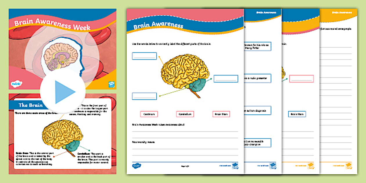 Brain Awareness Week Resource Pack (teacher made) - Twinkl