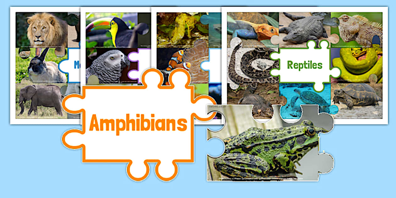 Animal Groups Sorting Jigsaw (teacher made) - Twinkl