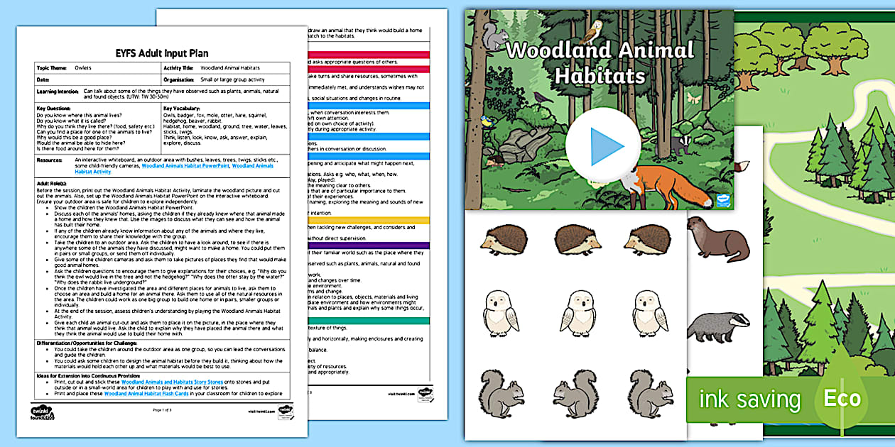 Woodland Animals EYFS - Adult Input Plan and Resource Pack