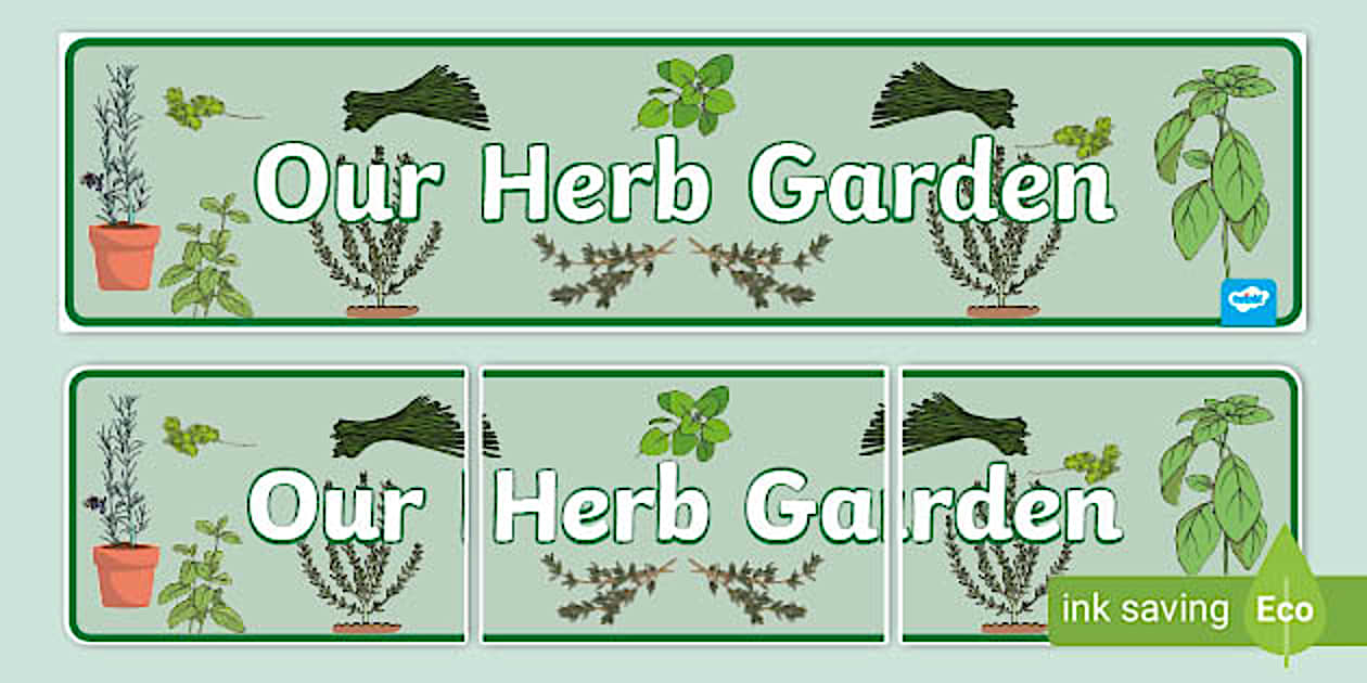 Our Herb Garden - Display Banner - Primary Resources