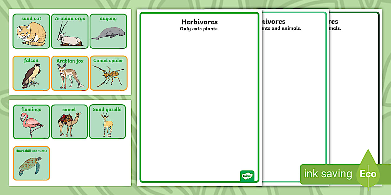 UAE Animals and What They Eat Sorting Activity - Twinkl