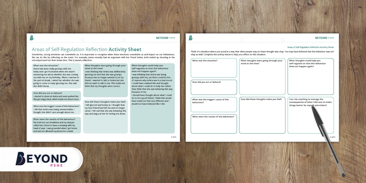 Areas of Self-Regulation Activity Sheet (teacher made)