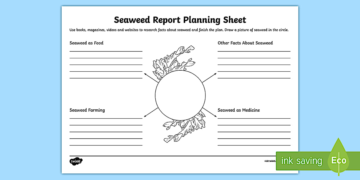 Seaweed Report Planning Worksheet / Worksheet (teacher made)