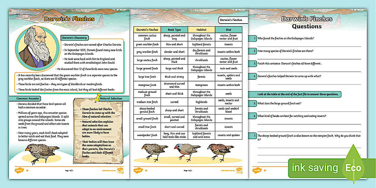 Darwin Finches Comprehension PDF - 5-6 - Science - Twinkl