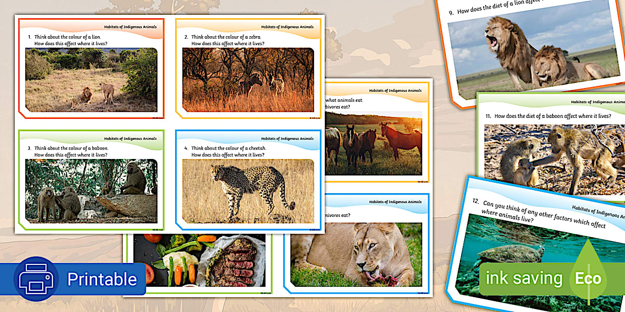 Habitats of Indigenous Animals - Open and Closed Q Cards
