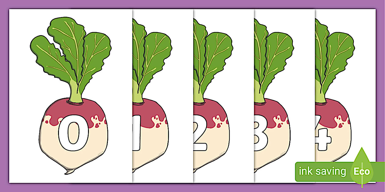 Numbers 0-31 on Enormous Turnip - Twinkl