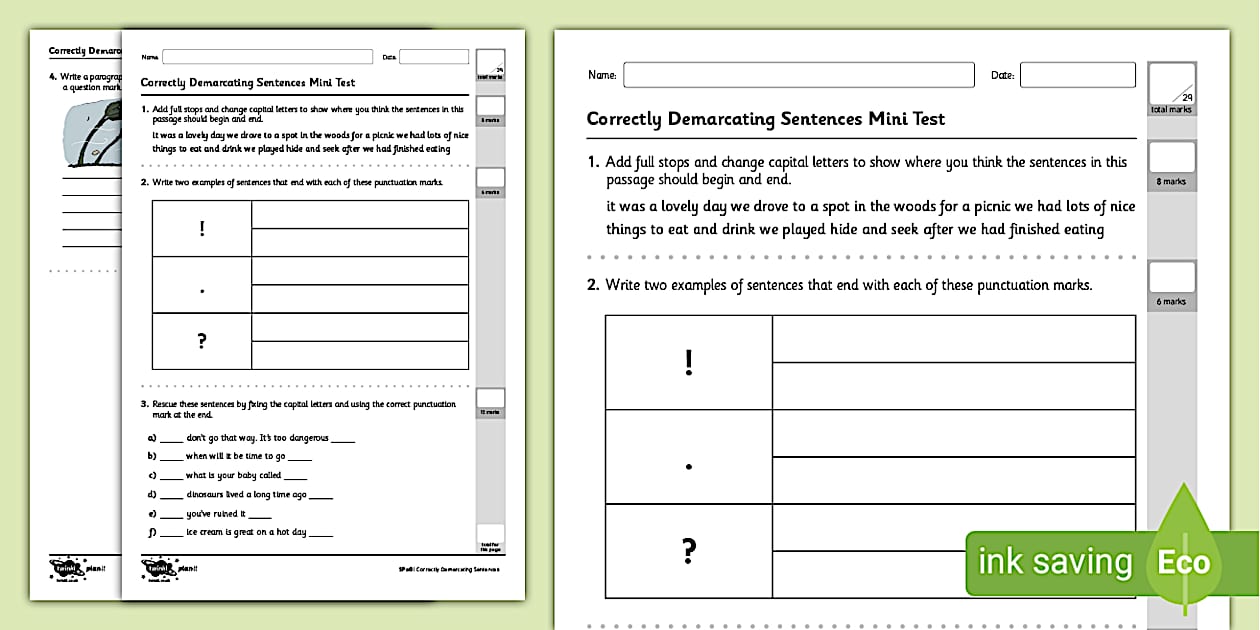Black and White Correctly Demarcating Sentences Mini Test