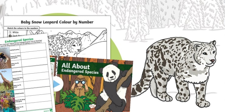 Endangered Species Day | May 16th | Events | Twinkl - Twinkl