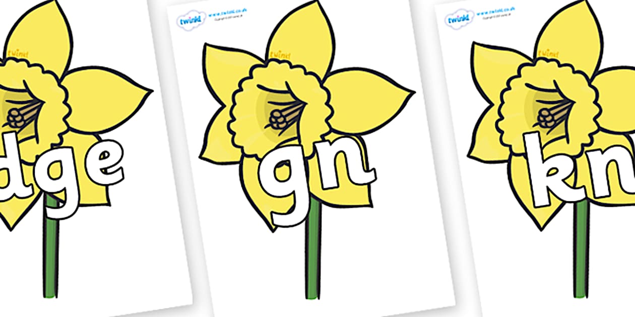 Cursive Silent Letters on Daffodils (teacher made) - Twinkl