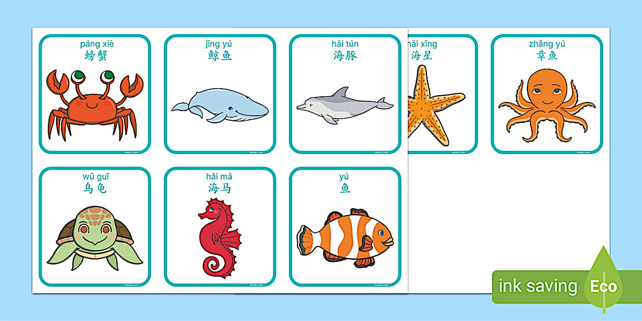 *Singapore Cute Under the Sea Creature Picture Cards*