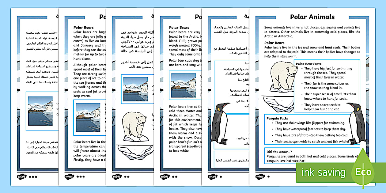 Polar Animals Differentiated Reading Comprehension Activity Arabic/English