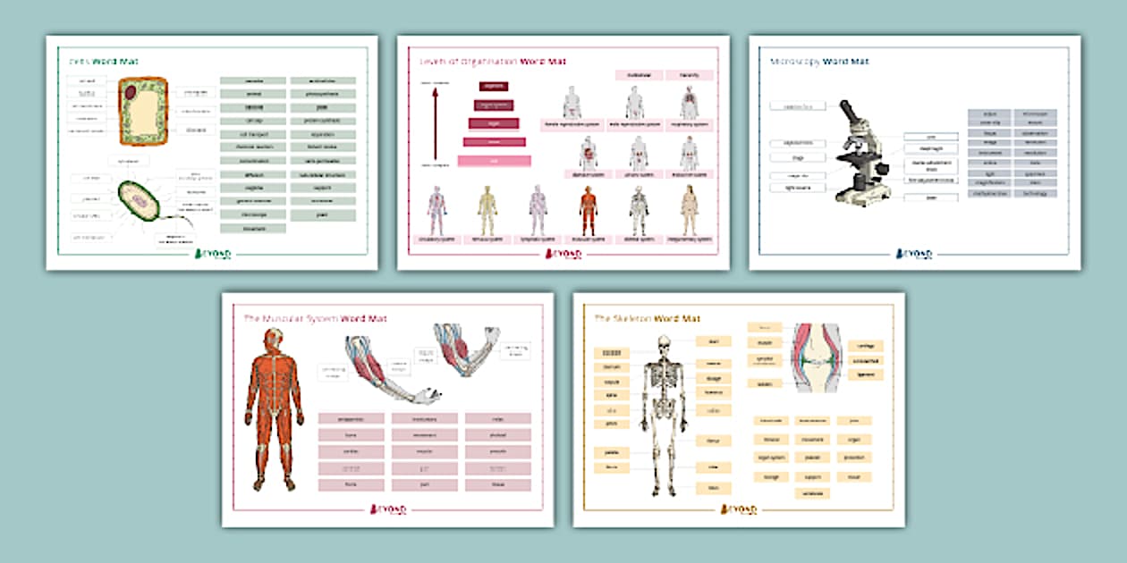Cells and Organisation Word Mat Bundle | Beyond Science