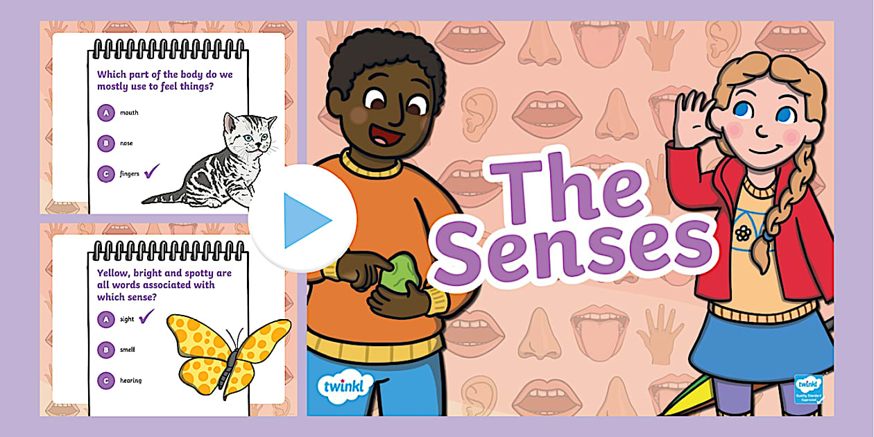 The Senses PowerPoint Quiz (teacher made) - Twinkl