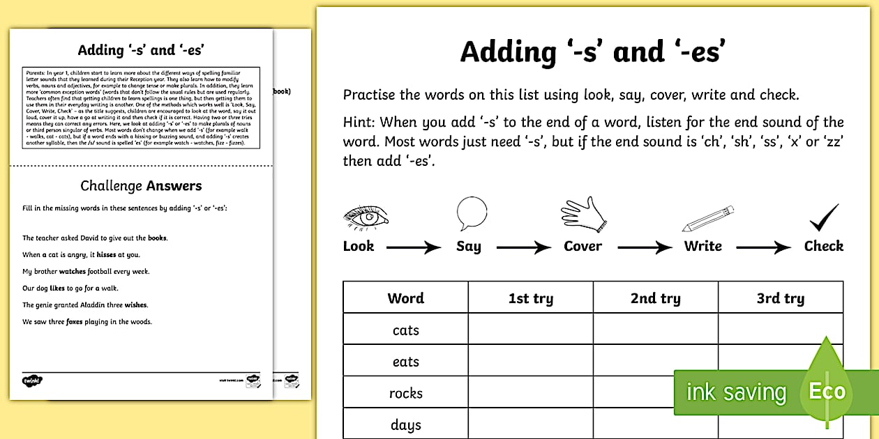 Year 1 Spelling Practice: Adding the Suffixes '-s' and '-es'