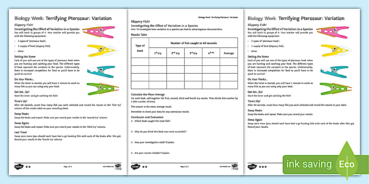 Editable Terrifying Pterosaur Variation Worksheets - Twinkl