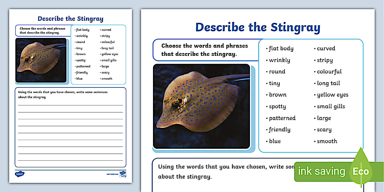 Describe the Stingray Writing Activity (teacher made)