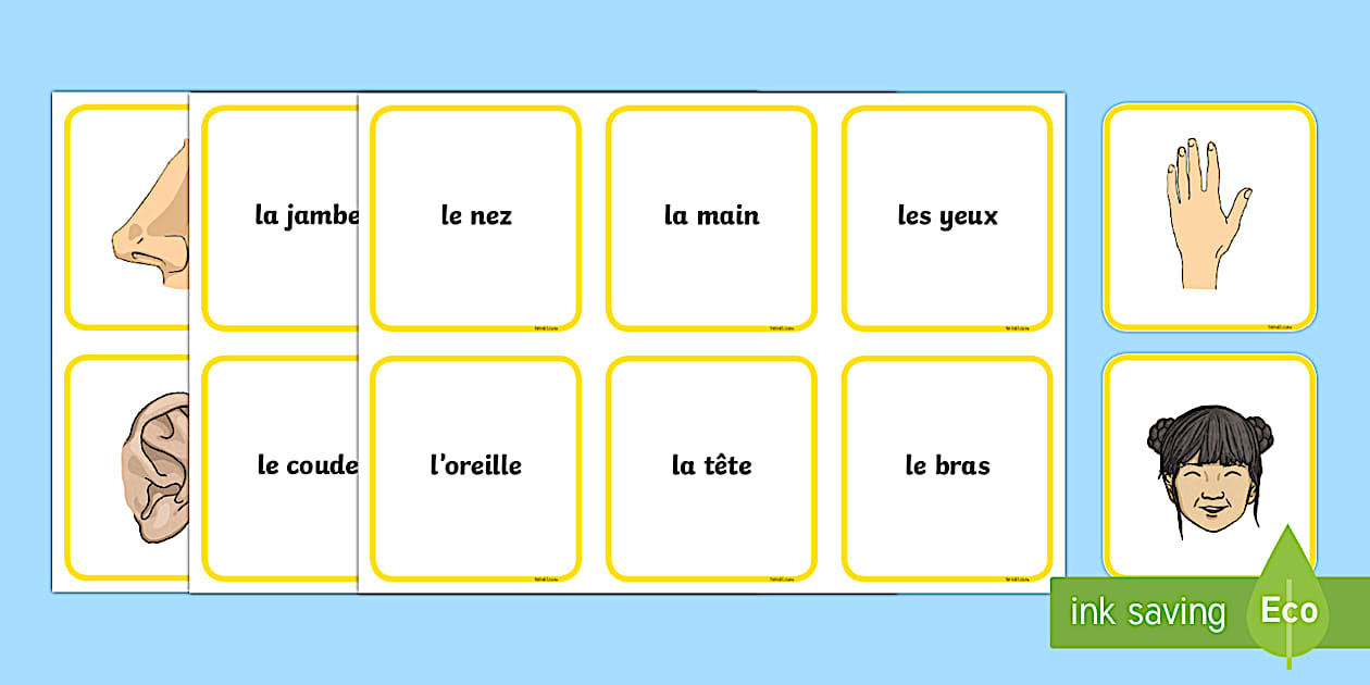 Parts of the Body Snap Card Game French
