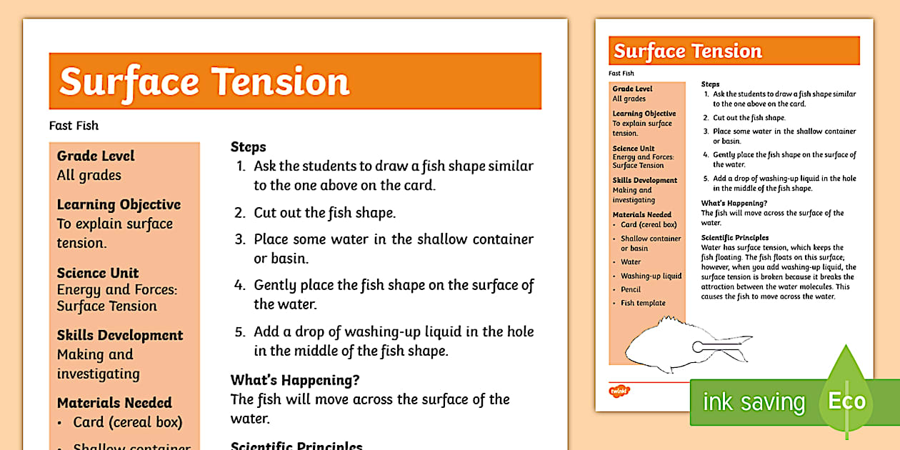 Surface Tension Science Experiment (Teacher-Made) - Twinkl