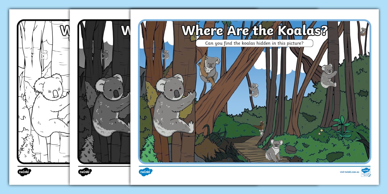 Where's the Koala? I Spy Activity - Twinkl