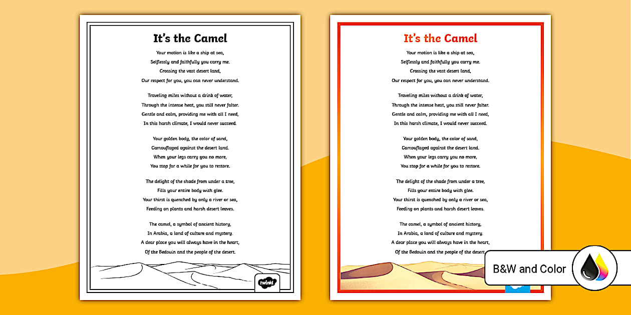 It's the Camel Poem (teacher made) - Twinkl