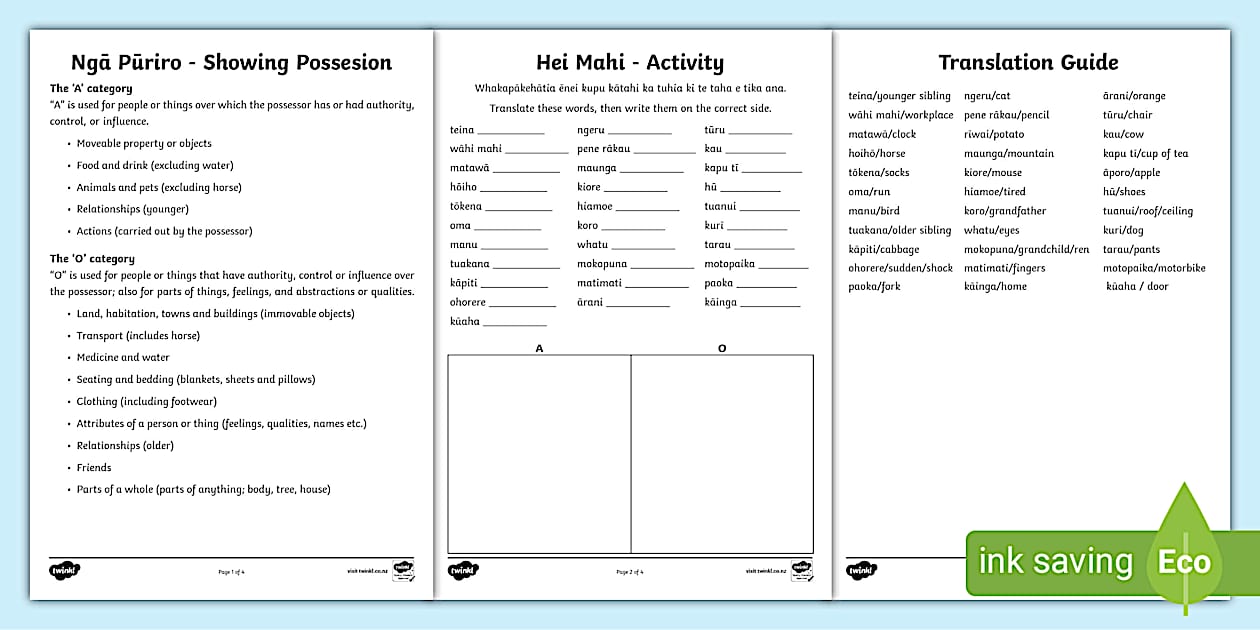Ngā Pūriro Showing Possessions Worksheet Te Reo Māori Set 2