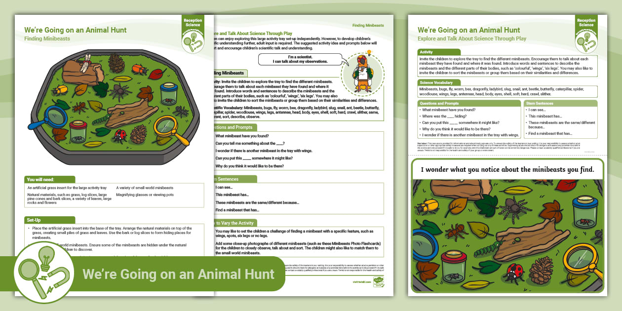EYFS Large Activity Tray Minibeasts White Rose Science