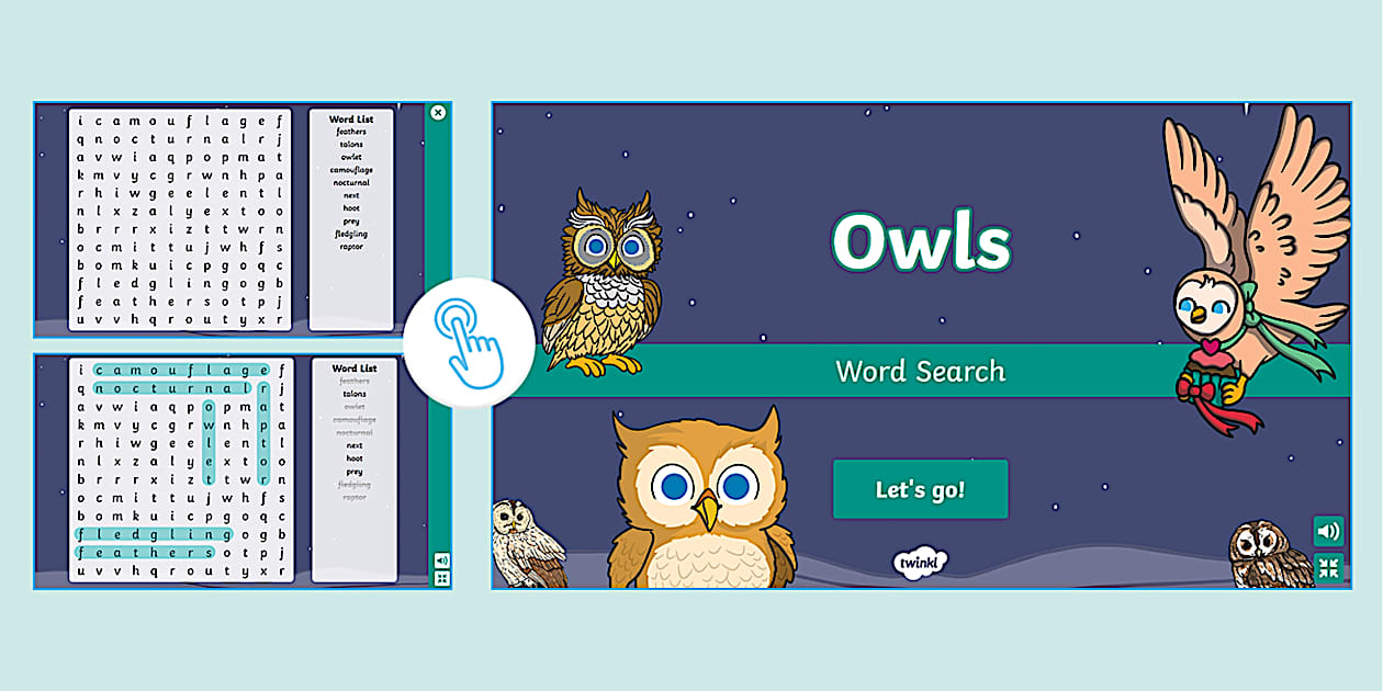 Owls Interactive Word Search (professor feito) - Twinkl