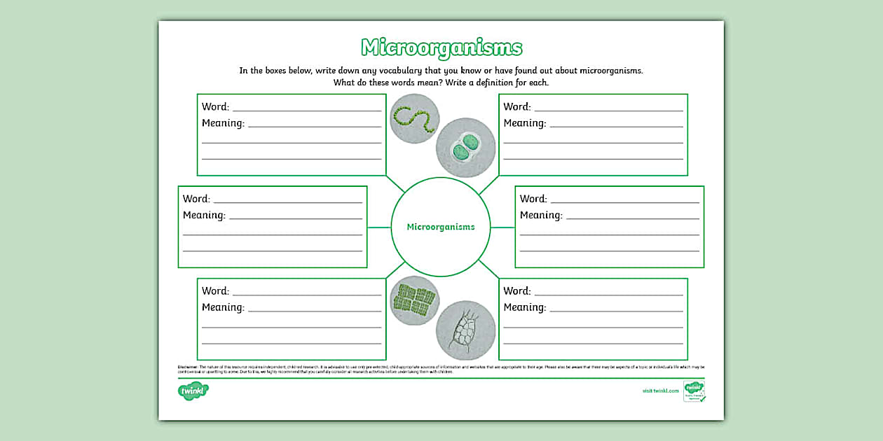 Microorganism Vocabulary Mind Map (teacher made) - Twinkl