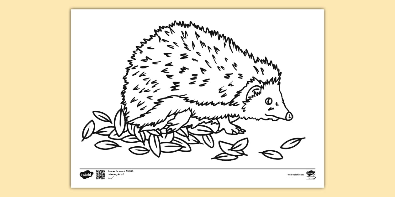 Hedgehog Colouring Sheet | Nature Colouring Pages - Twinkl