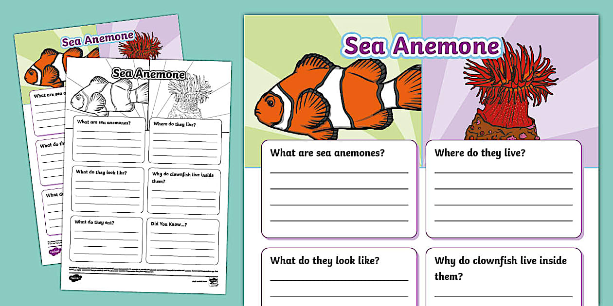 Sea Anemone Fact File Template (Teacher-Made) - Twinkl