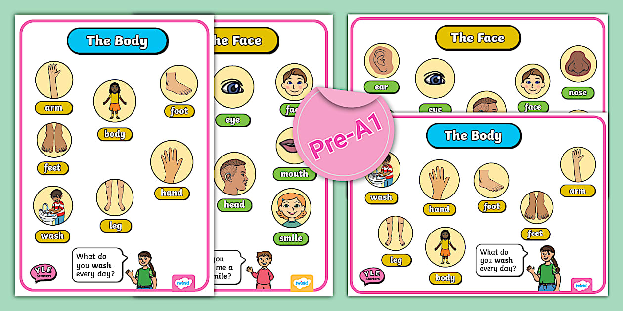 YLE Starters - Vocabulary Posters (The Body and Face)