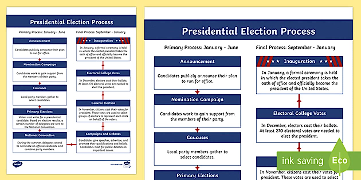 Presidential Election Process Flow Chart | Twinkl USA