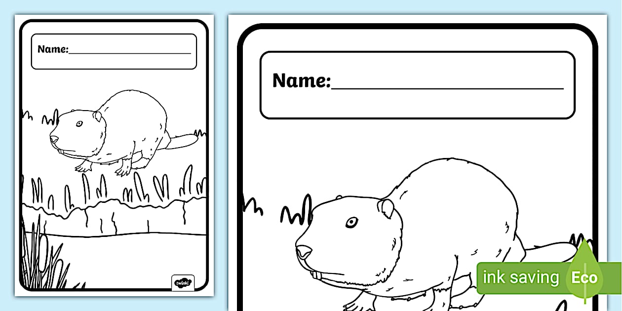 Beaver Colouring Book Cover (teacher made) - Twinkl