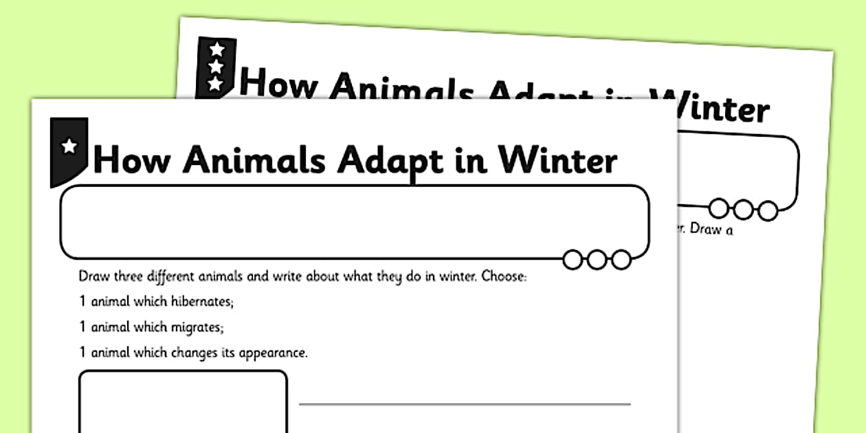Animals In Winter Activities | Winter Animals | Twinkl