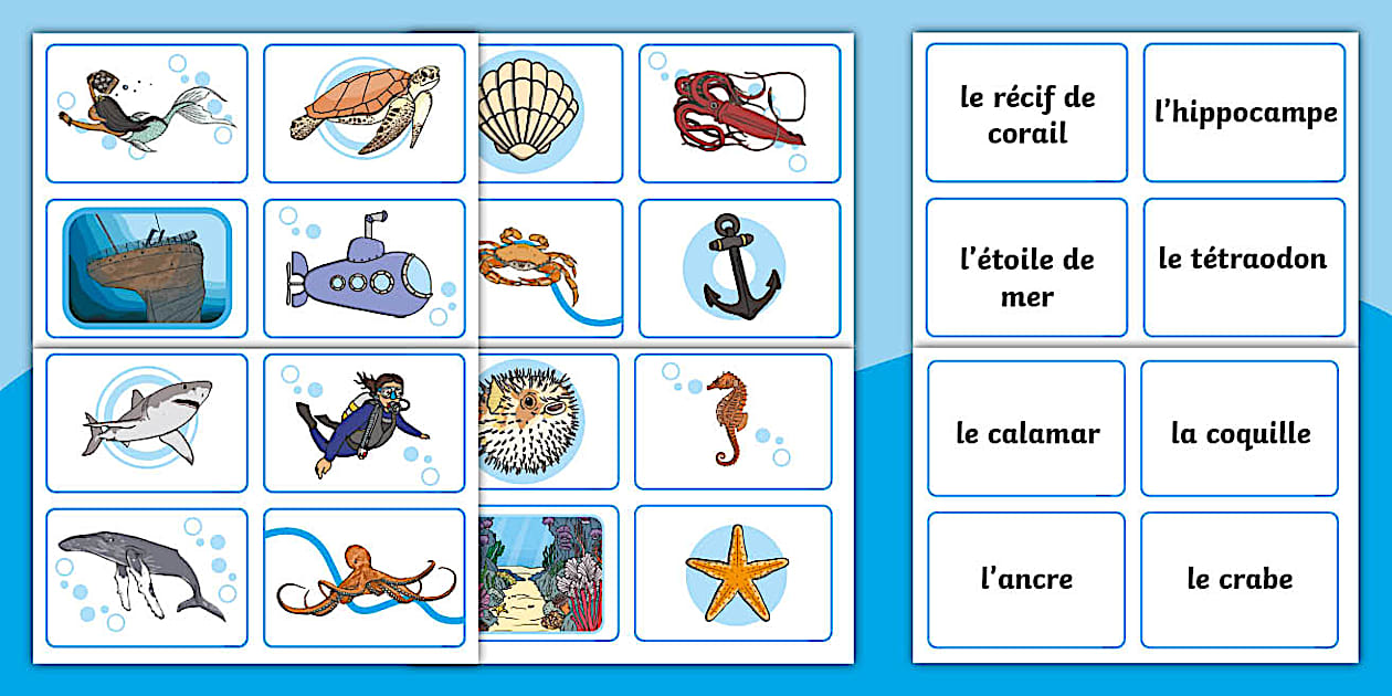Cartes pour jeu de paires pour la maternelle : sous la mer