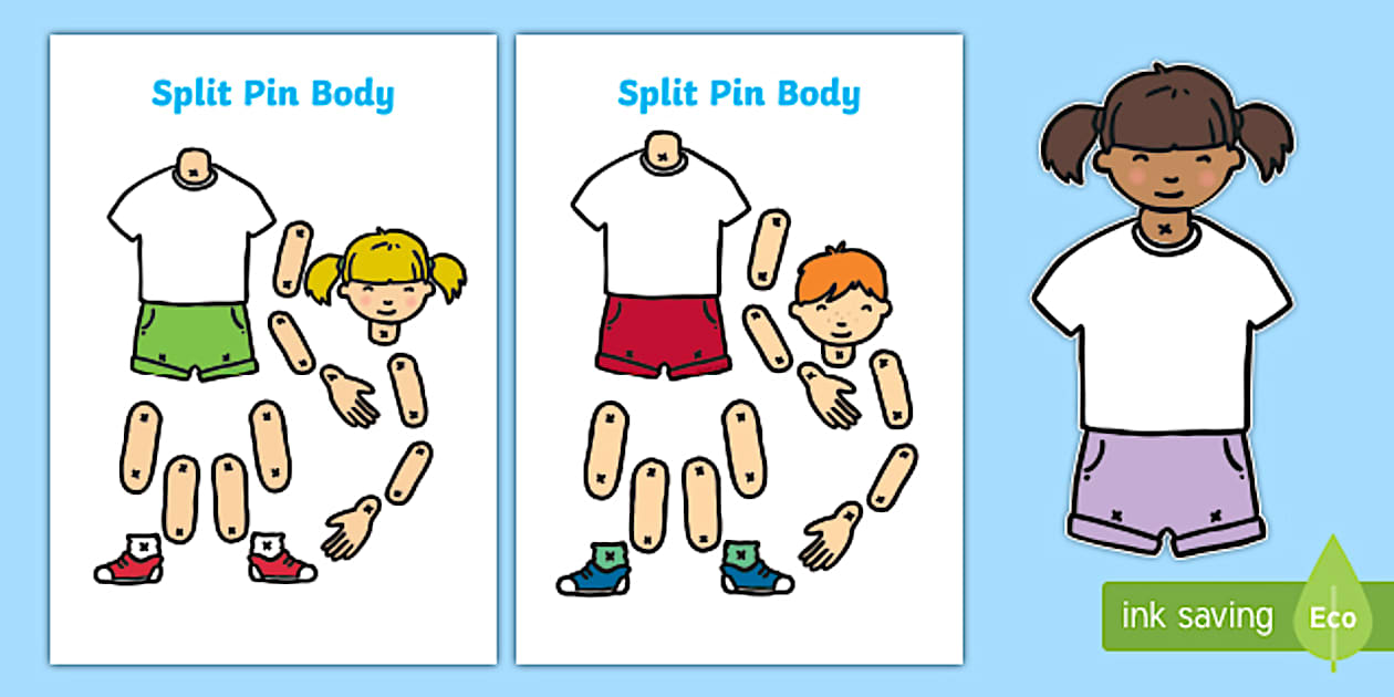 Split Pin Bodies (teacher made) - Twinkl