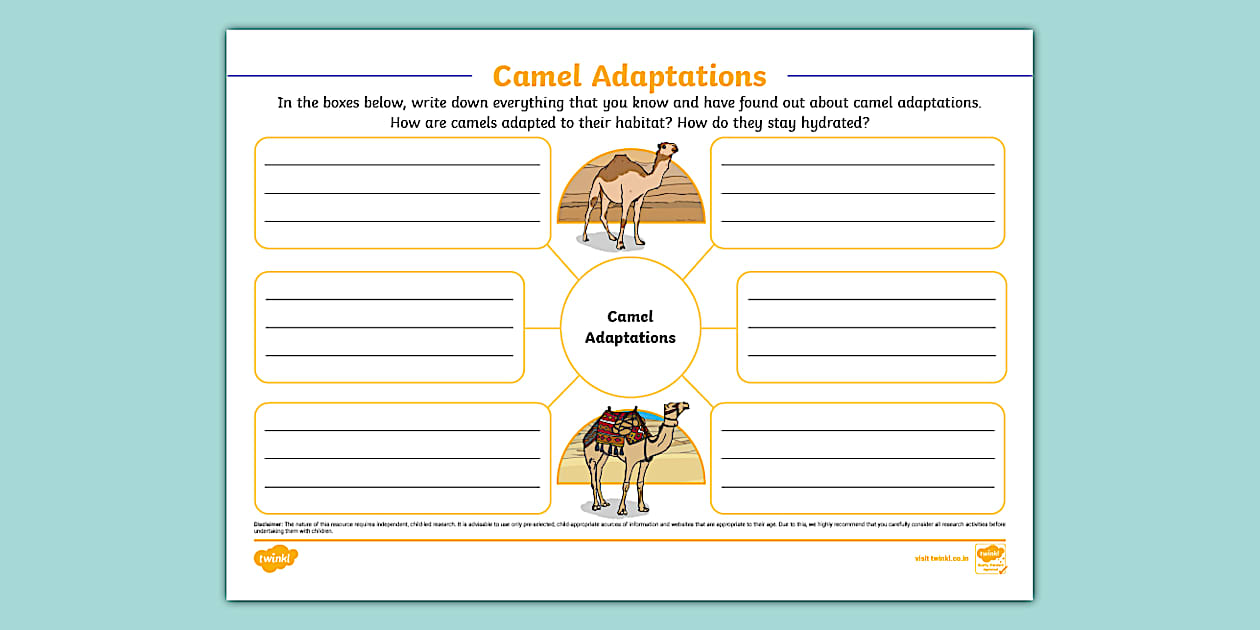 Camel Adaptations Mind Map (teacher made) - Twinkl