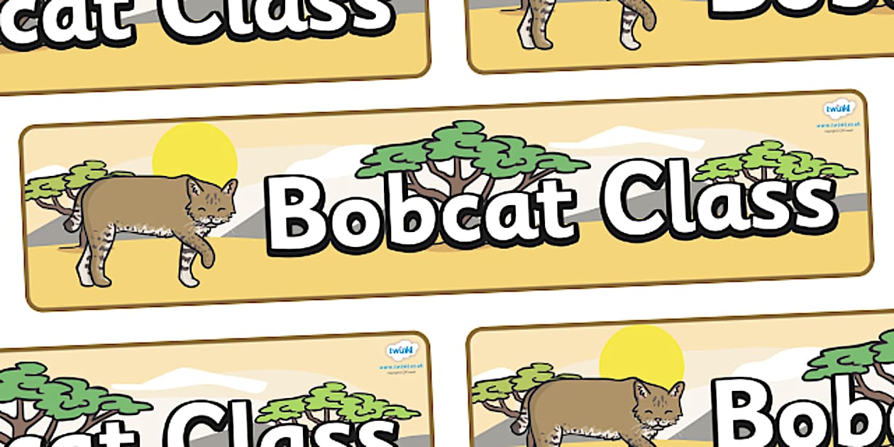 Bobcat Themed Classroom Display Banner (teacher made)
