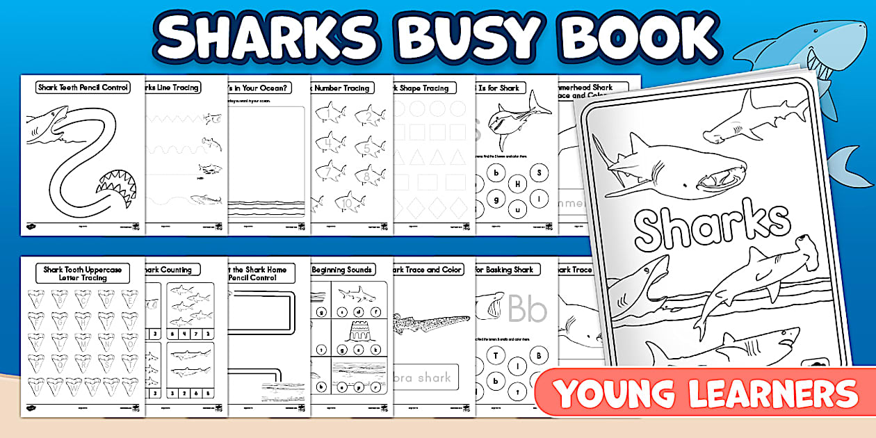 Sharks Busy Book (teacher made) - Twinkl