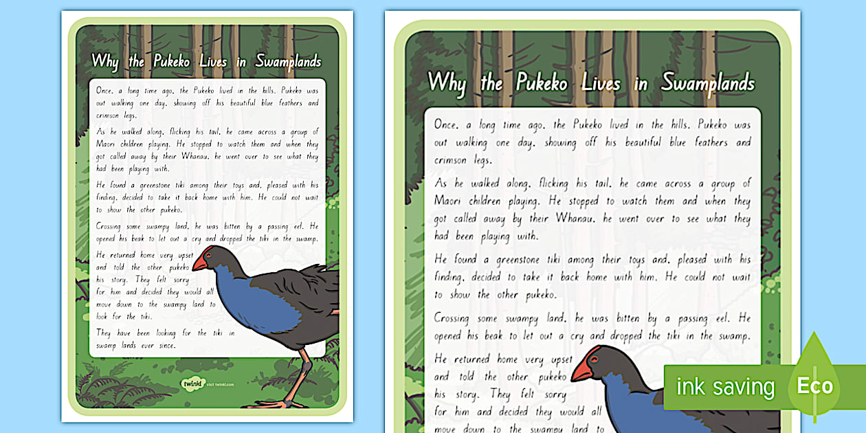 Why the Pukeko Lives In Swamplands Display Poster - Twinkl