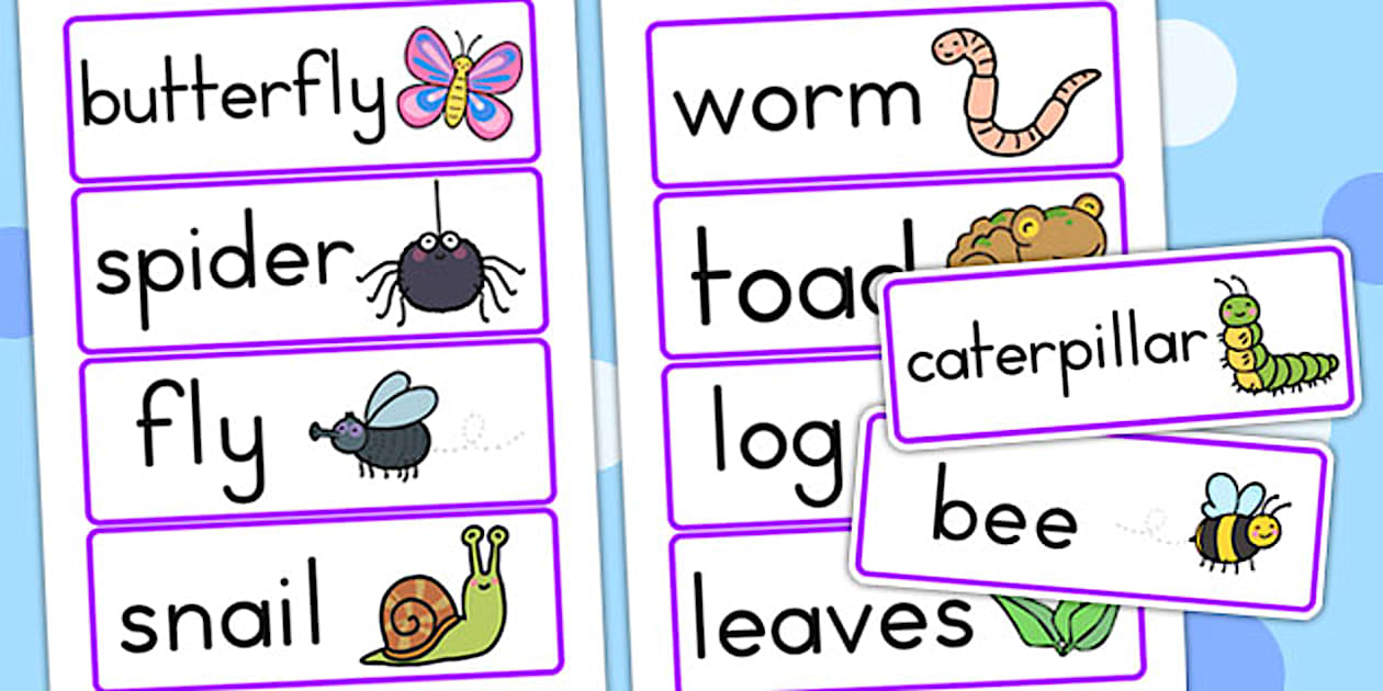 Minibeasts Cute Word Cards (teacher made) - Twinkl