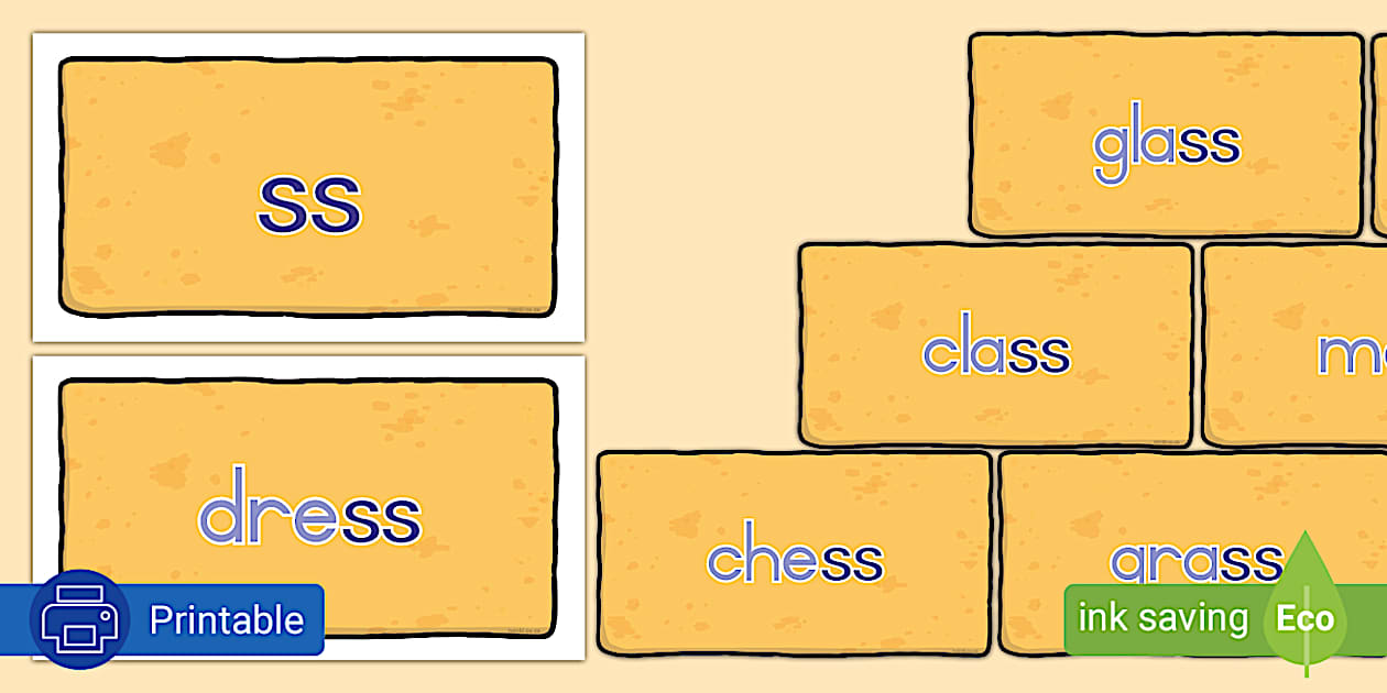 Grade 2 Phonics: -ss Word Wall Cards (professor feito)