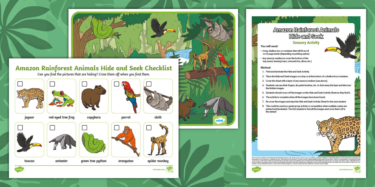 Amazon Rainforest 'Hide and Seek' Sensory Activity