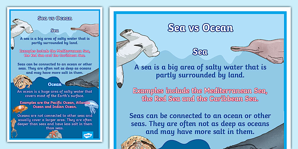 Sea vs Ocean Display Poster (teacher made) - Twinkl