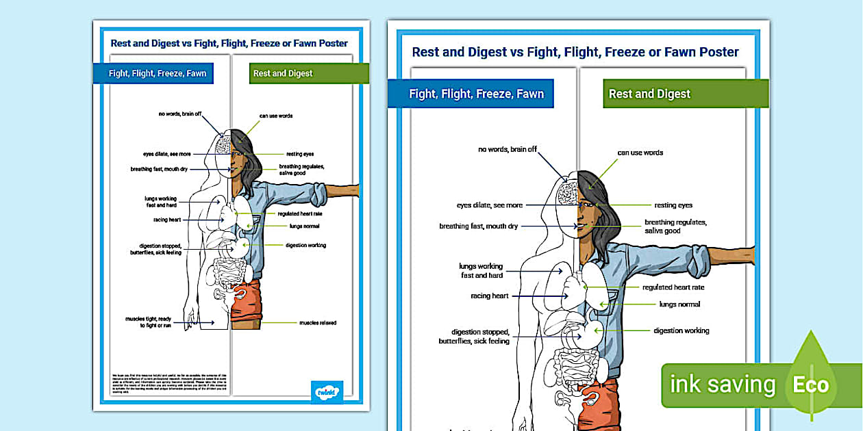 Rest and Digest vs Fight, Flight, Freeze or Fawn Poster
