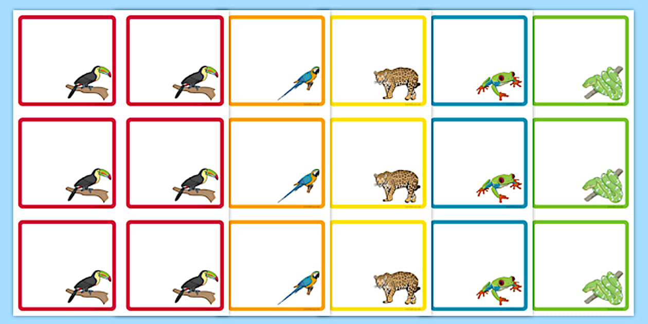 Rainforest Themed Editable Drawer Peg Name Labels - Twinkl