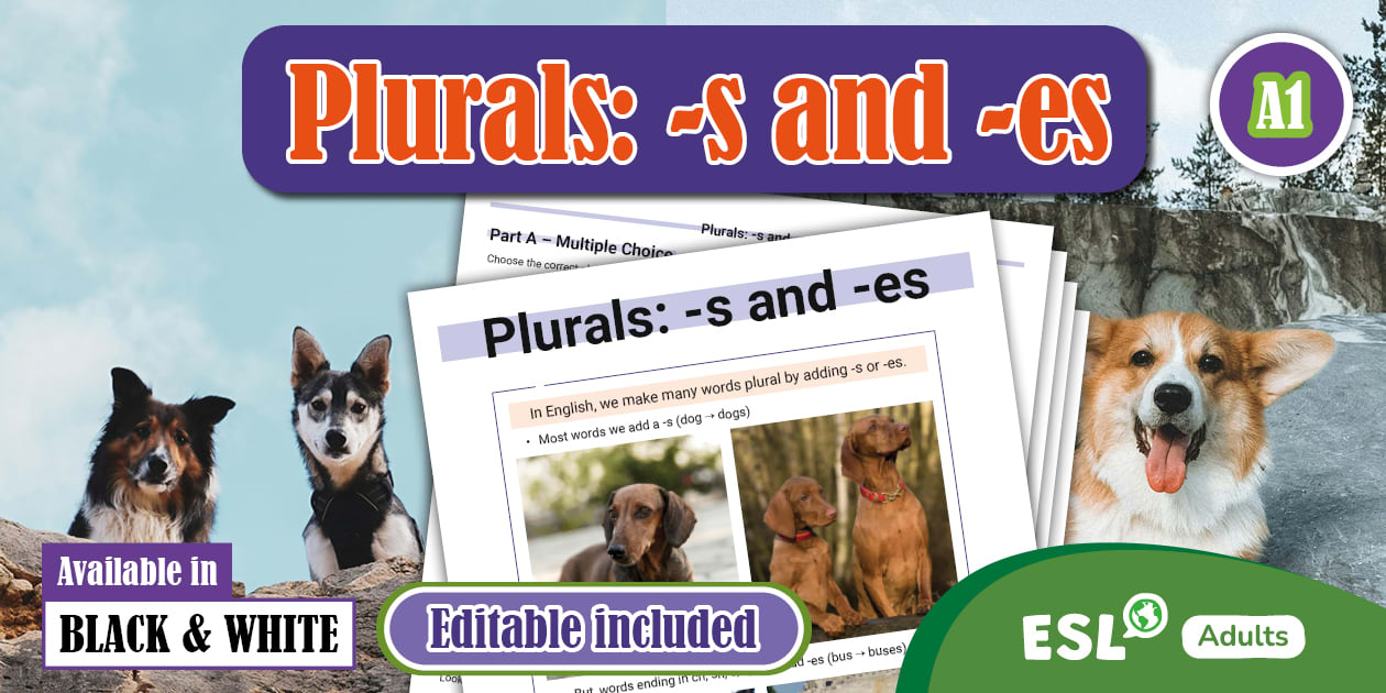 ESL Plurals: -s and -es Worksheet [Adults, A1]