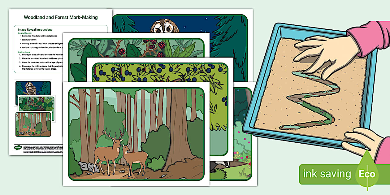EYFS Woodland and Forest Mark-Making Image Reveal | Twinkl