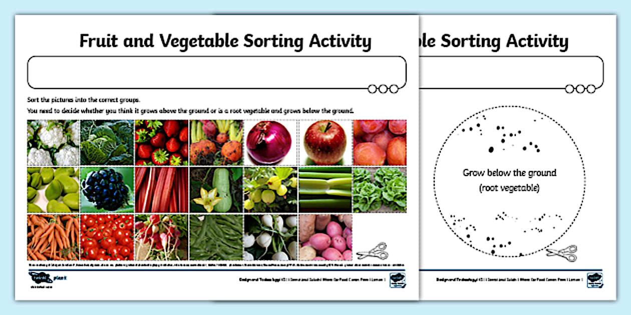 Editable Fruit and Vegetable Sorting Worksheet - Twinkl
