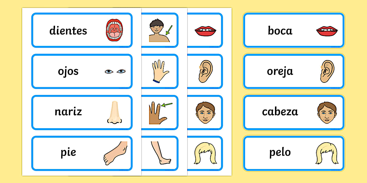 Tarjetas partes del cuerpo para imprimir